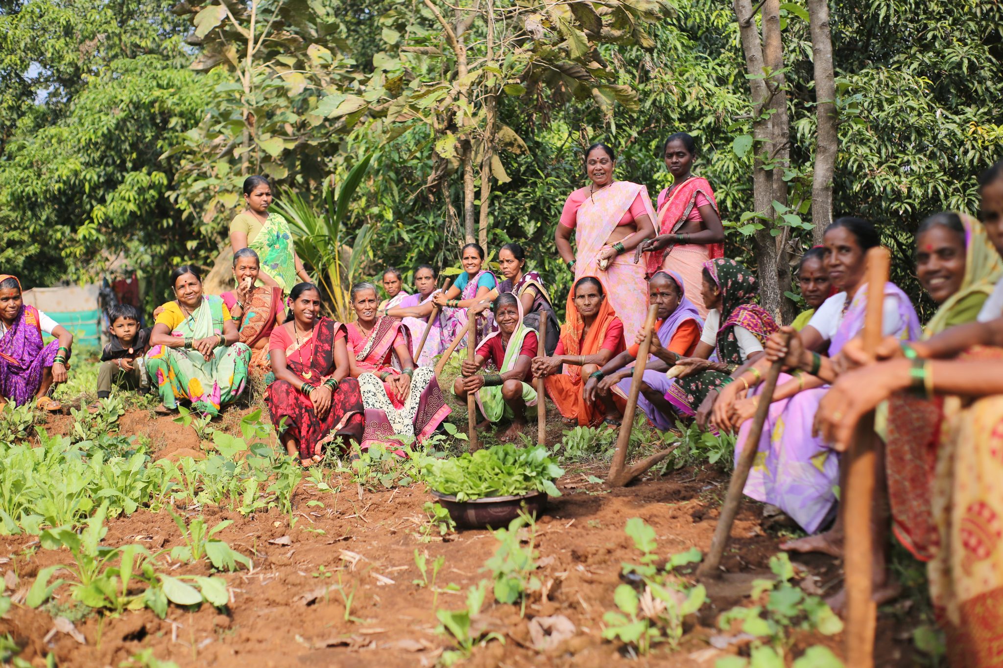 Swades Foundation - Empowering Rural Women for Holistic Rural ...