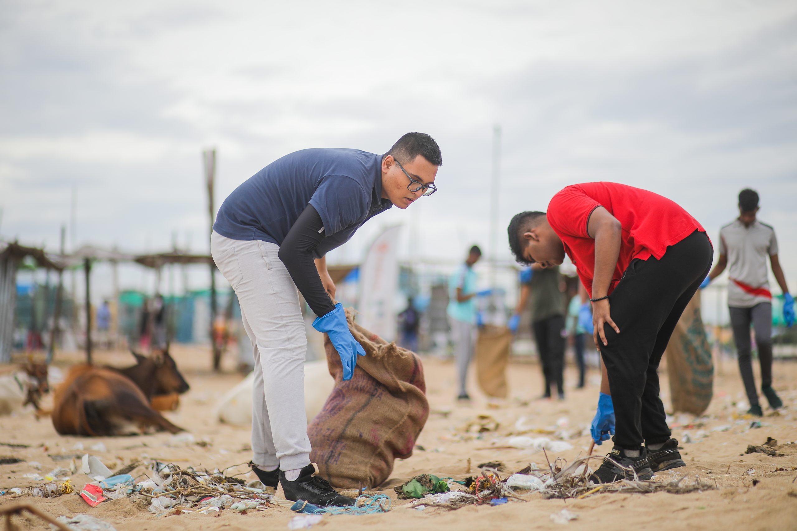 Niantic Partners with CARESS & Eco-Society India for a Beach Clean-Up ...