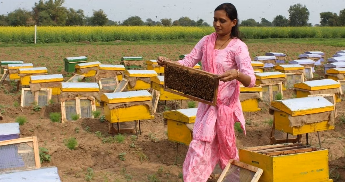 Livelihood and Entrepreneurial Opportunities Through Bee Keeping - CSR ...