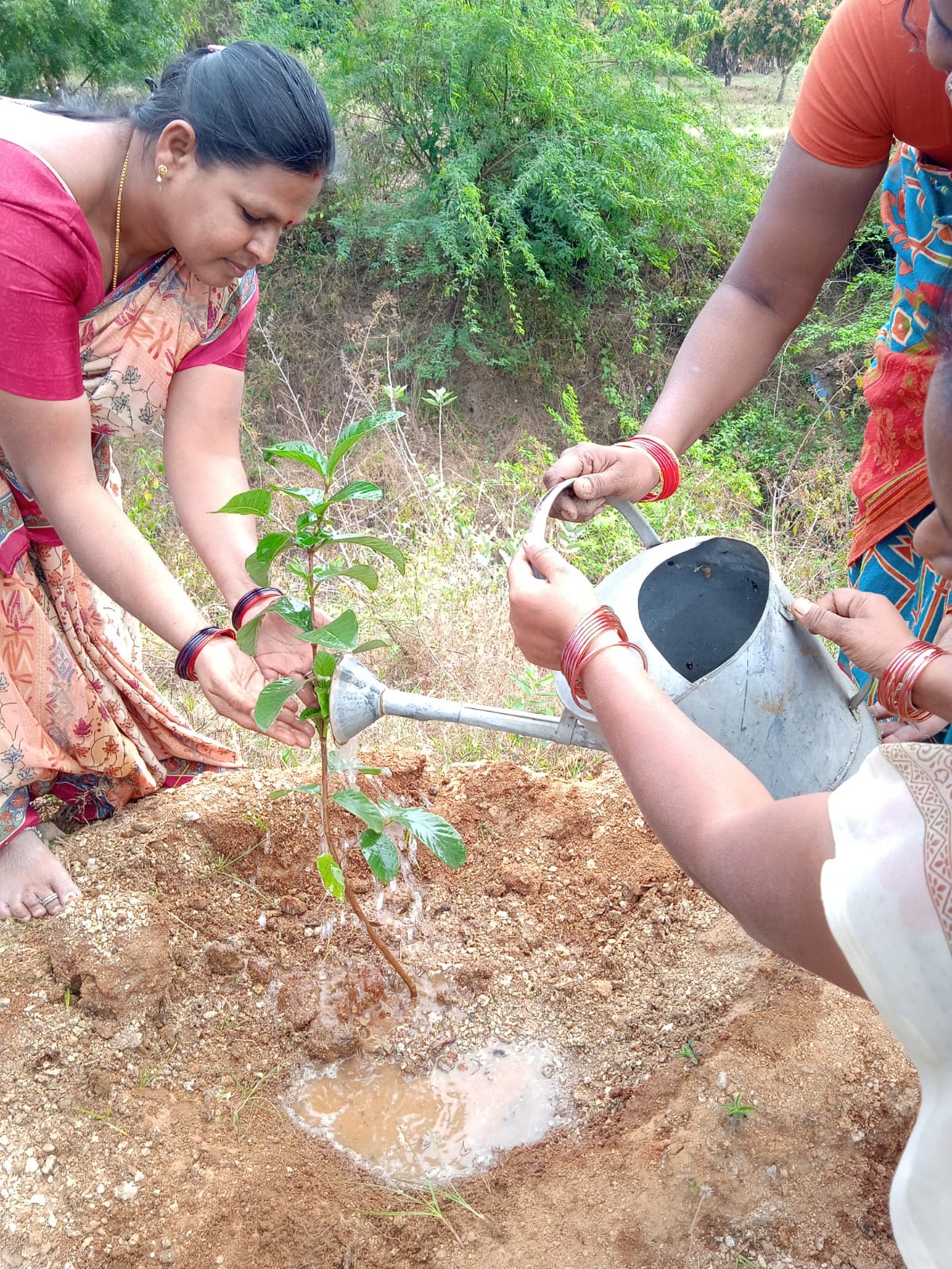 Apollo Foundation and AP Forest Department Honouring Dr. PC Reddy by ...