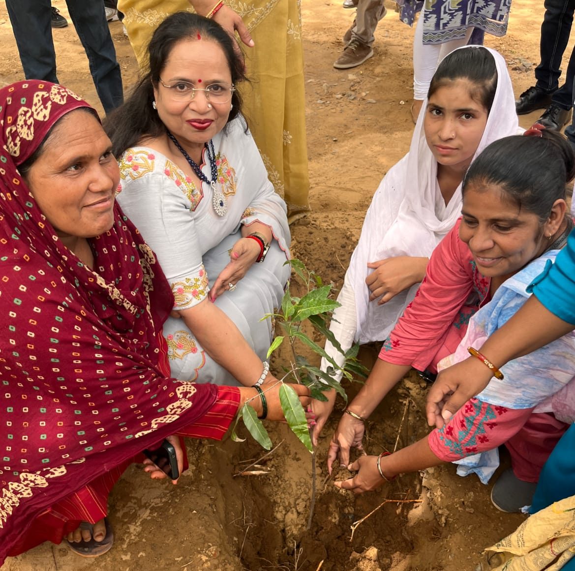 M3M Foundation Pledges to Plant 10,000 Trees Using the Miyawaki Method ...