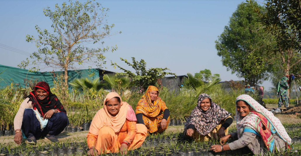 Roundglass Foundation to Plant 500 Trees for Every Goal Scored by ...